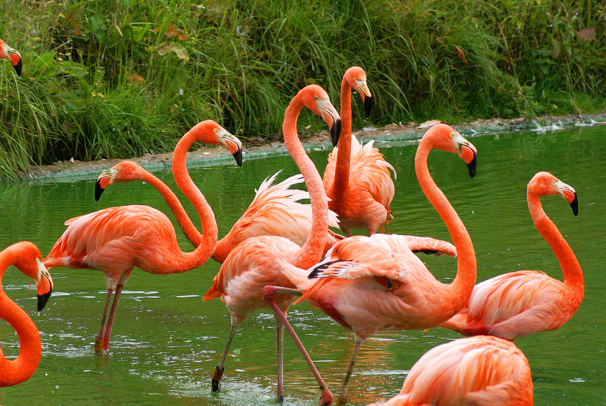 Beat the Heat this Summer! | Moving Happiness Home