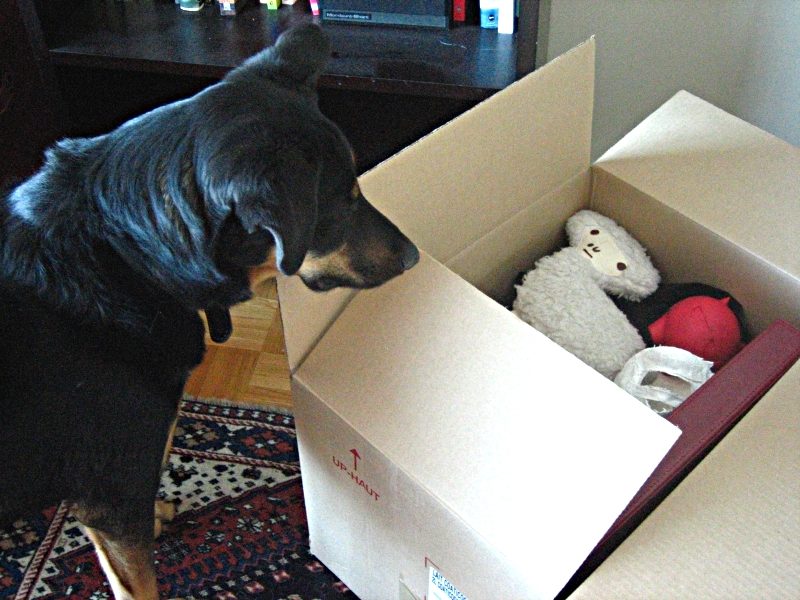 How to Pack Stress Free | Moving Happiness Home