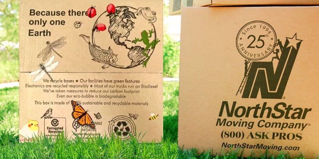Eco-Friendly Moving Tips from the Best Movers in California | NorthStar ...