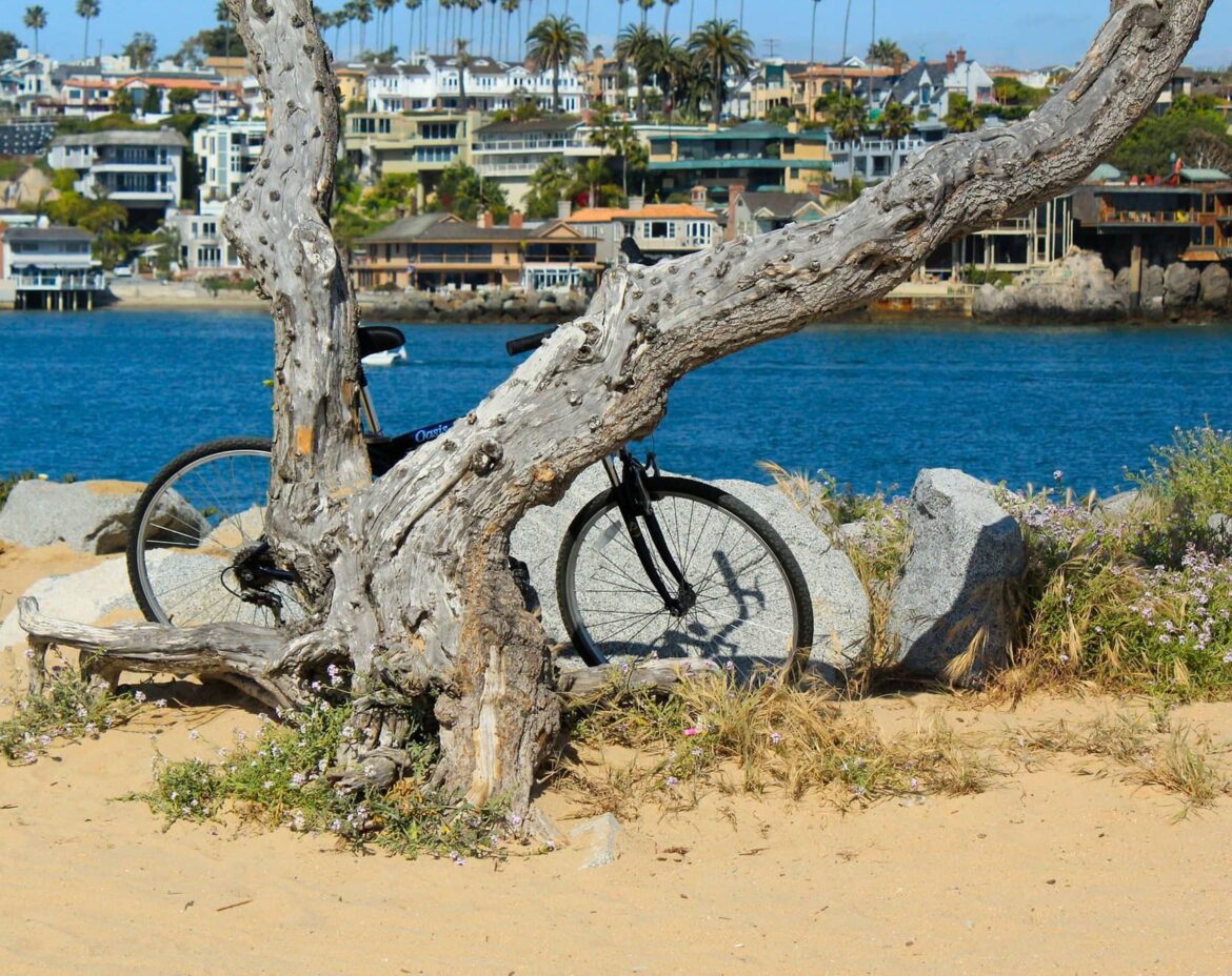 Trusted Newport Beach Movers | NorthStar Moving Company