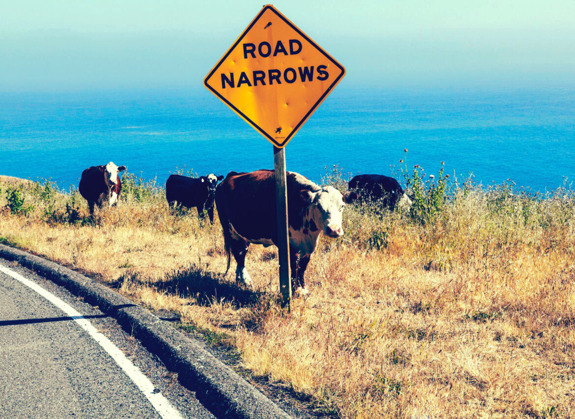 California Moves 100+ Miles | NorthStar Moving Company