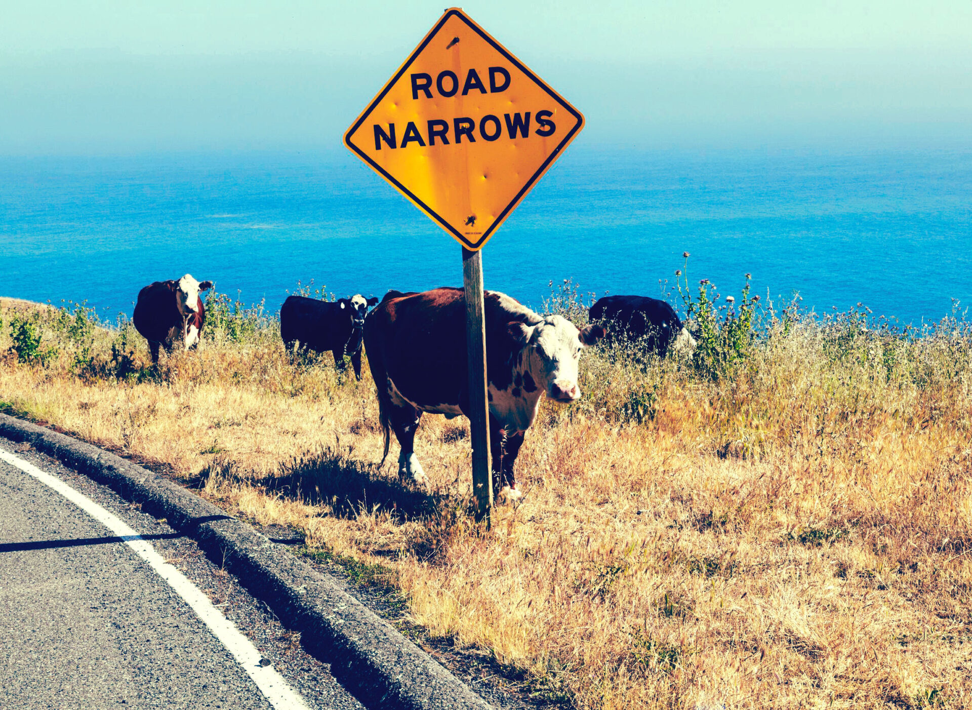 California Moves 100+ Miles | NorthStar Moving Company