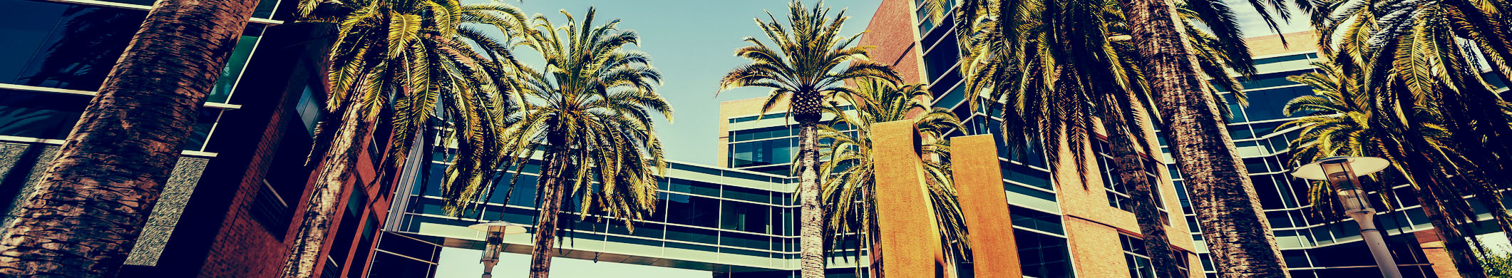 Skilled Silicon Valley Movers | NorthStar Moving Company